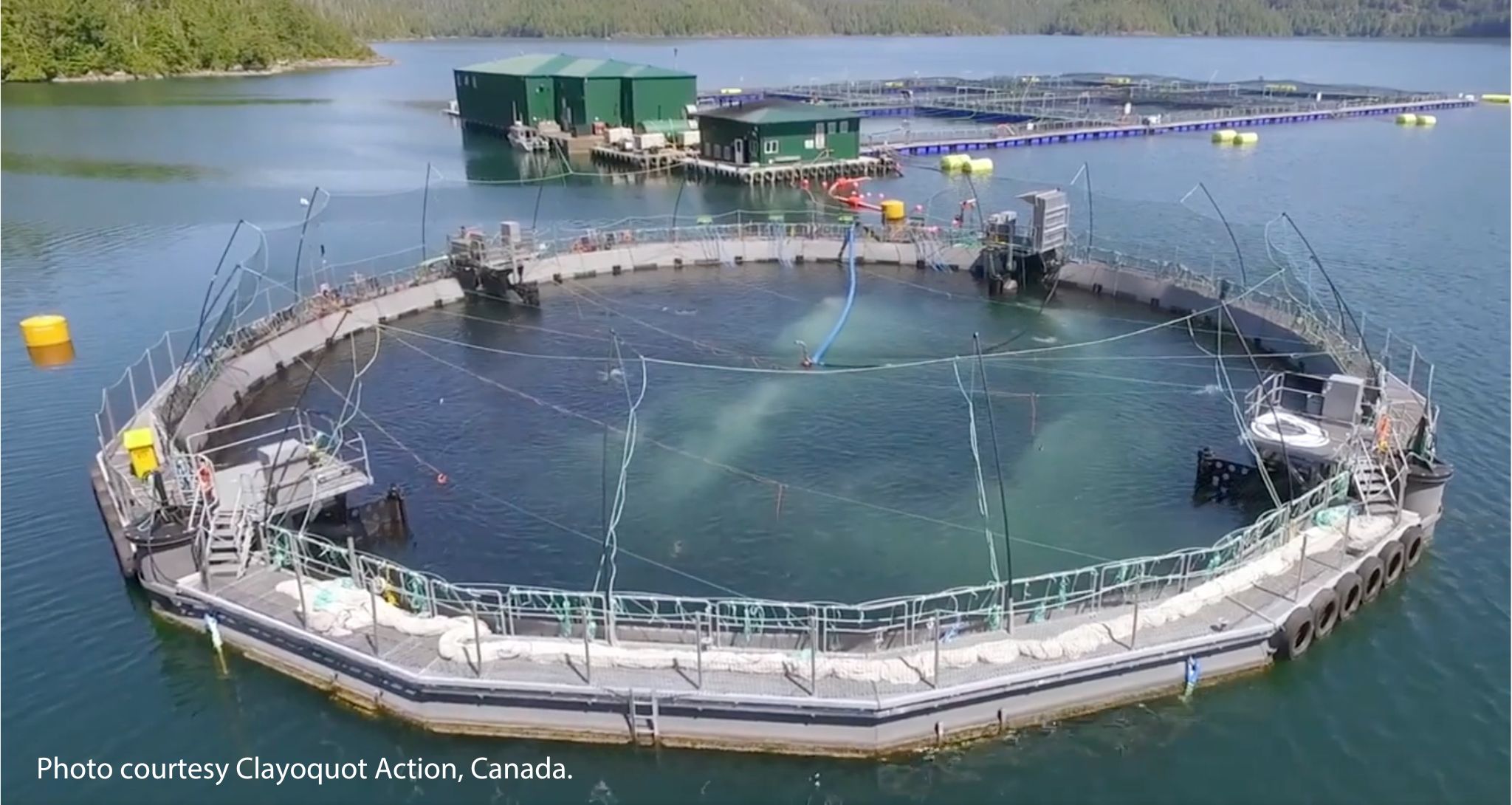 Loch Long Fish Farm Public Hearing & Site Visit – #AFFtheClyde